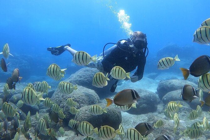 Beginner Scuba Experience with Video Package in Honolulu - Why This Tour Shines