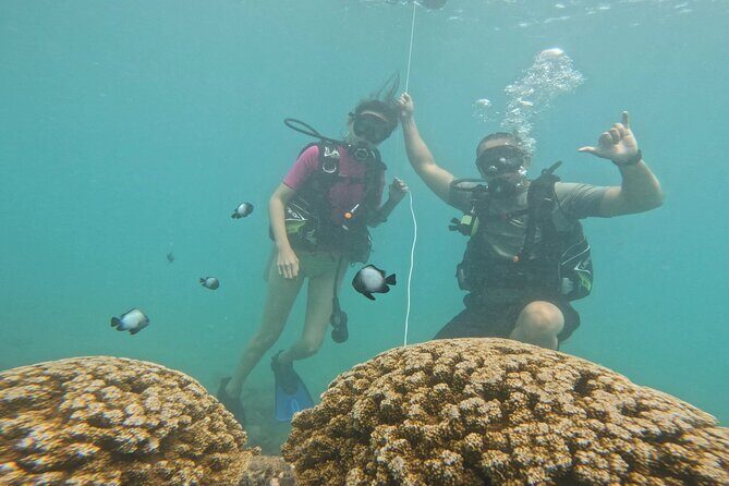 Beginner Scuba Experience with Video Package in Honolulu - The Practical Details