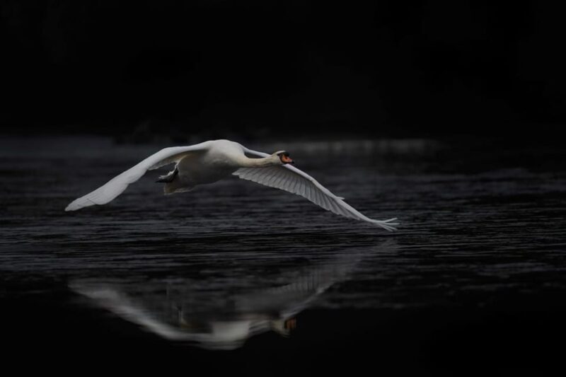 Beginners Wildlife Photography Workshop - Review Highlights from Participants