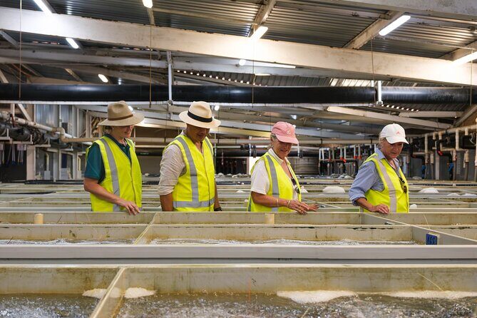 Behind-The-Scenes Ocean Harvest Tour - Key Points