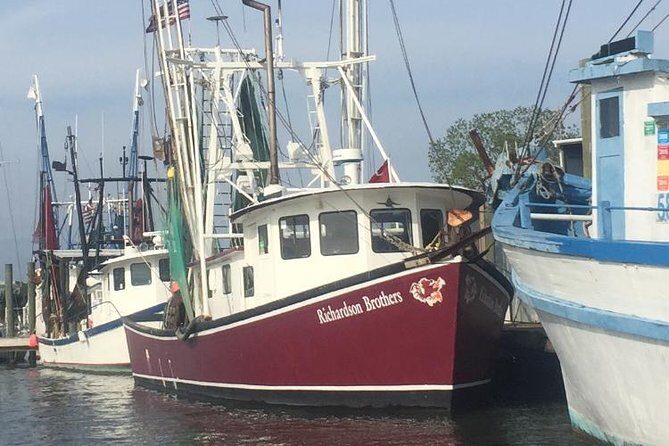 Behind the Scenes of Shem Creek Shrimp Walking Tour - Behind the Scenes of Shem Creek Shrimp Walking Tour: A Local’s Perspective