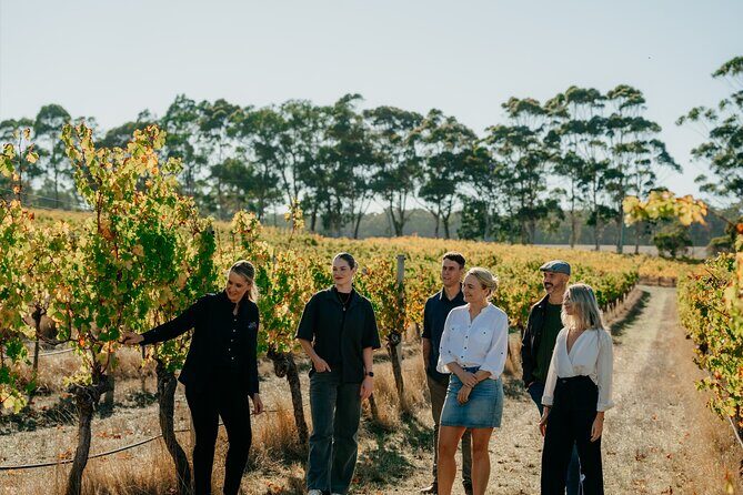 Behind The Scenes Tour with Food & Wine Pairing - An Overview of What to Expect