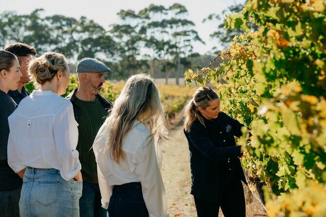 Behind The Scenes Tour with Food & Wine Pairing - Practical Tips