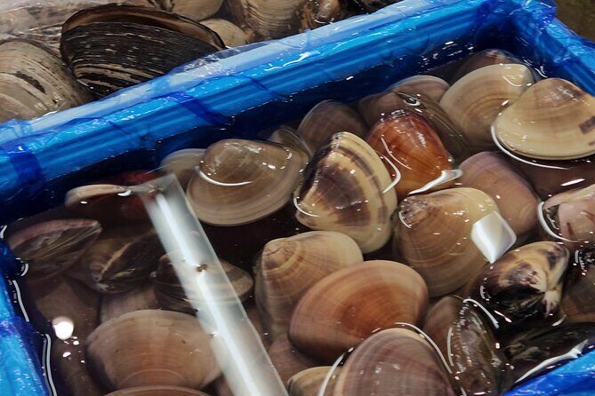 Behind the Scenes Toyosu Fish Market and Luxury Sushi Dining Tour - FAQ