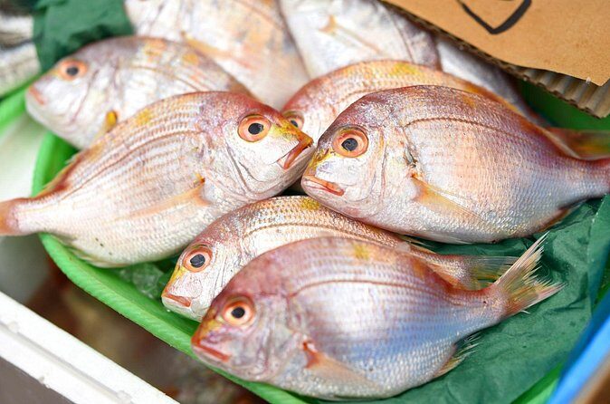 Behind-the-Scenes Toyosu Market & Sushi Making Experience - Tasting Your Creations: A Personal Culinary Victory