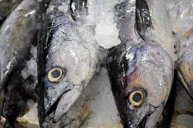 Behind-the-Scenes Toyosu Market & Sushi Making Experience - Final Thoughts