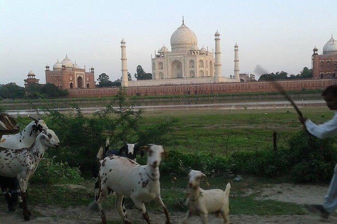 Behind the Taj Mahal with Sunrise or Sunset view by Tuk Tuk Ride - Key Points