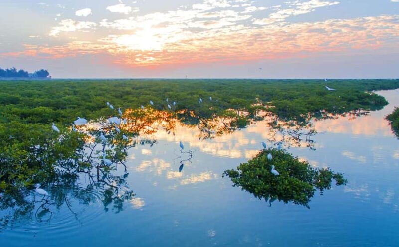 Beihai: Silver Beach, Mangrove Forest & Old Street Tour - Key Points