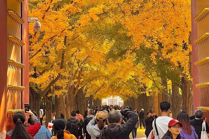 Beijing 3 Day Private Tour All Inclusive and 1 Peking Duck Meal - A Deep Dive Into the 3-Day Beijing Tour Experience