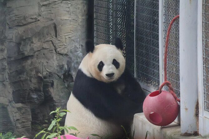 Beijing 3 Day Private Tour All Inclusive and 1 Peking Duck Meal - Final Words