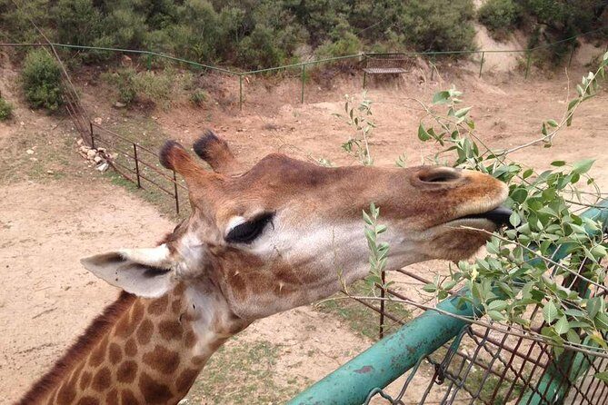 Beijing Badaling Wildlife Park & Juyongguan Great Wall Private Tour - Who Will Love This Tour?