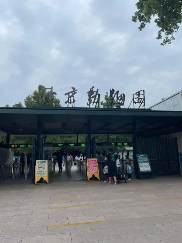 Beijing: Beijing Zoo Entry Ticket - What to Expect During Your Day at Beijing Zoo