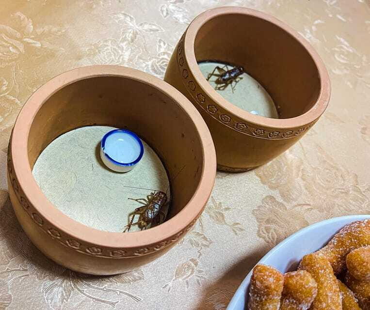 Beijing: Best Hutongs Cultural Tour for the Cricket Fights - Who Will Love This Tour?