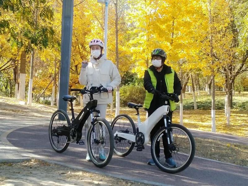 Beijing Central Axis E-Bike Tour: Imperial Highlights - Exploring the Beijing Central Axis E-Bike Tour in Depth