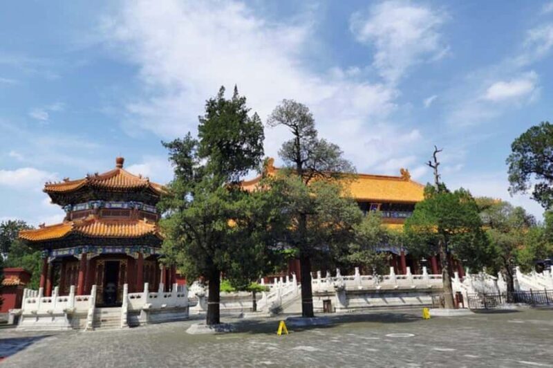 Beijing Central Axis Tour: Qianmen, Square, Forbidden City - What Travelers Say
