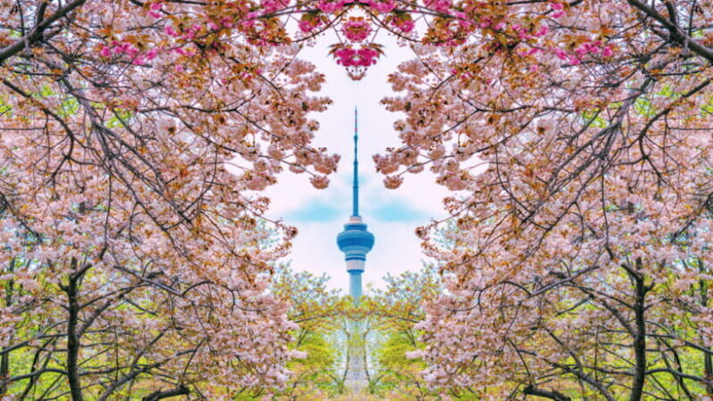 Beijing: Central Radio & TV Tower Observation Deck Ticket - Key Points