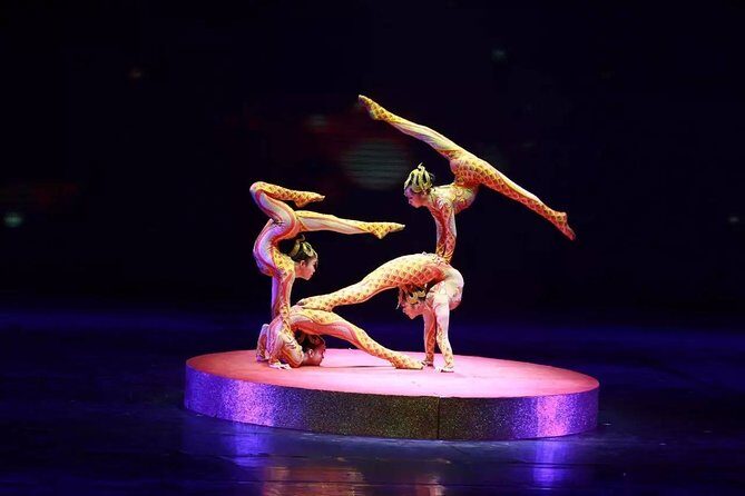 Beijing Evening Tour: Chaoyang Acrobatic Show with Dimsun Dinner - The Sum Up