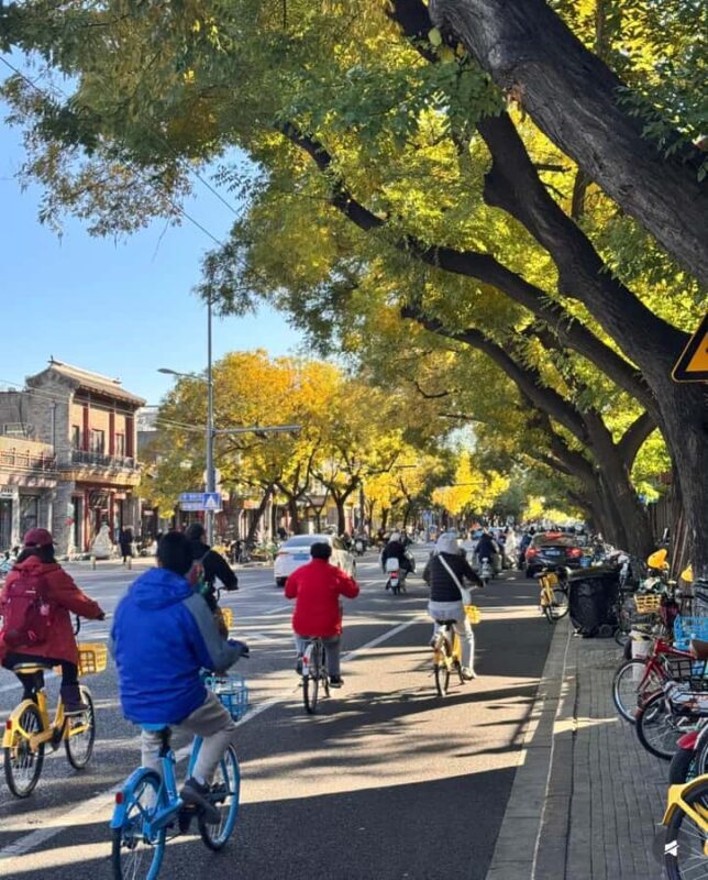 Beijing: Forbidden City Bike Tour with Jingshan Park Entry - Key Points