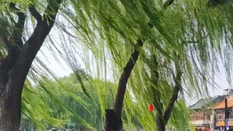 Beijing: Forbidden City, Hutongs, and Dumpling Tour - FAQs