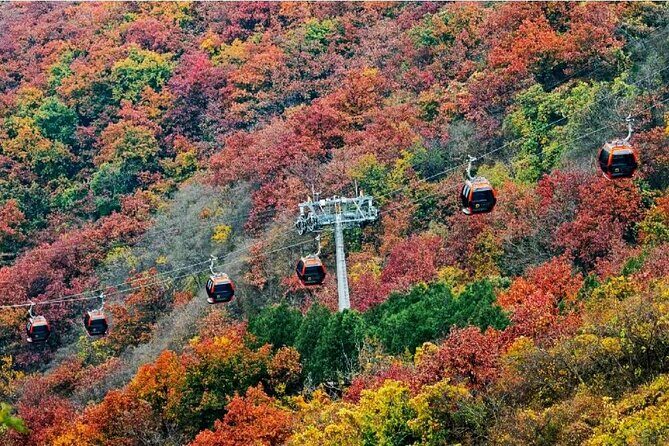 Beijing Great Wall Private Day Tour from Shanghai by Bullet Train - What Could Be Better?