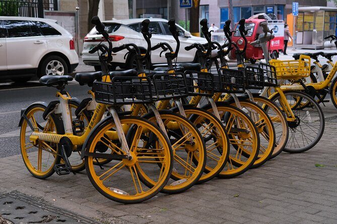 Beijing Highlights-Private Beijing Bike Tour - Final Thoughts