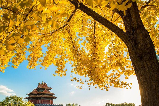 Beijing Layover Tour to Tiananmen Square and Forbidden City - Practical Tips for Making the Most of Your Tour