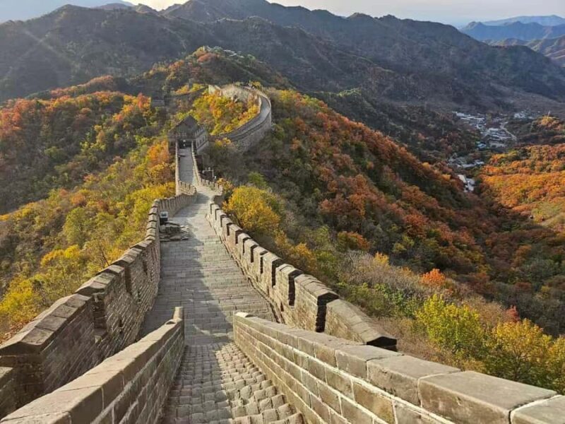Beijing: Mutianyu Great Wall and Panda House Private Tour - Why Choose the Mutianyu Great Wall and Panda Tour?