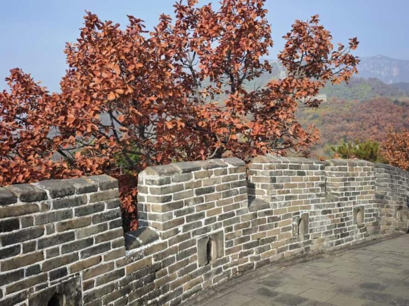 Beijing: Mutianyu Great Wall Private Tour - Insights from Real Travelers