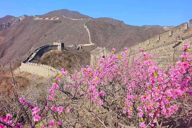Beijing: Mutianyu Great Wall private Tour with Roast Duck - The Practicalities and Tips