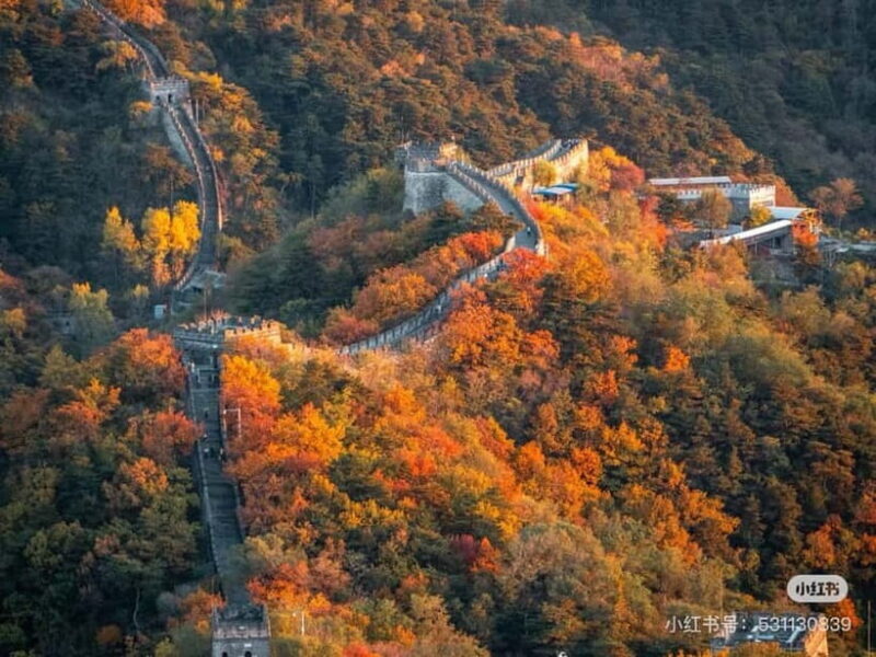 Beijing: Mutianyu Great Wall Private Tour With Tickets - In-Depth: What You Can Expect on Your Visit