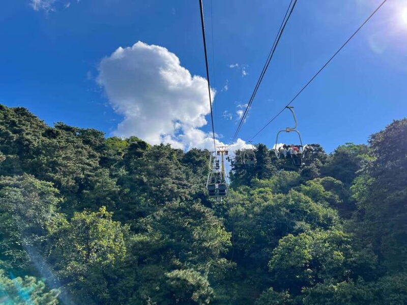 Beijing: Mutianyu Great Wall & Summer Palace Day Tour - Final Thoughts