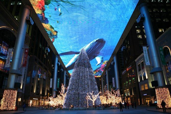 Beijing Night Driving Self-Guide Tour Assist by English Speaking Driver - Key Points