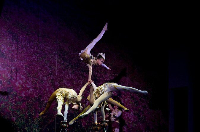 Beijing Night Tour- Acrobatic Show with Transfer - FAQs