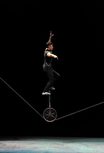 Beijing: Night Tour of Acrobatics Show Including Transfer - Who Will Benefit Most?