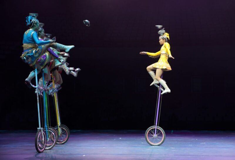 Beijing: Night Tour of Acrobatics Show Including Transfer - Final Thoughts