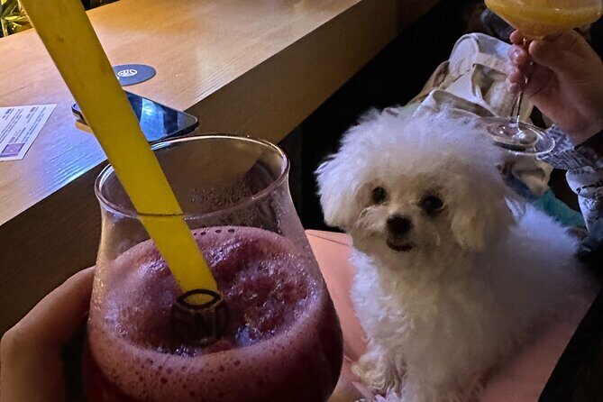 Beijing Nightlife with a Local Friend Bars Social and Culture - FAQ