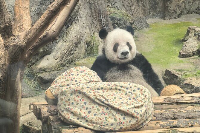 Beijing Private Car And Driver Service - Why Travelers Love This Service