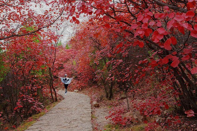Beijing Private Tour to Summer Palace and Fragrant Hill with Cable Car Ride - The Experience You’ll Value