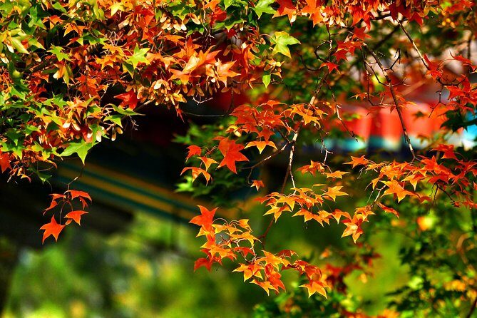 Beijing Private Tour to Summer Palace and Fragrant Hill with Cable Car Ride - FAQ