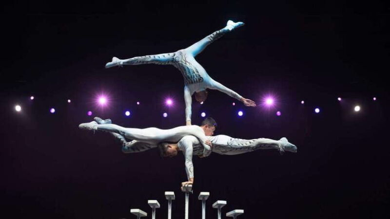 Beijing: Red Theatre Acrobatics Show Ticket-Local Must-See - Who Might Want to Think Twice