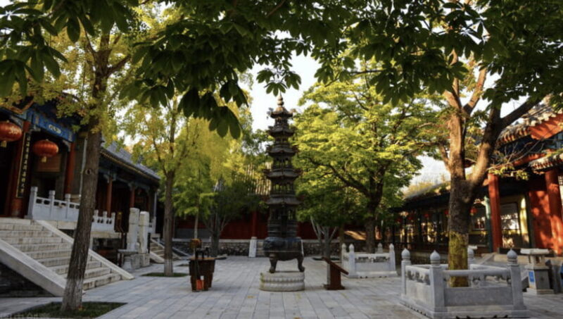 Beijing: Shaolin Temple Day Tour by Round Trip Bullet Train - The Authenticity and Education Component