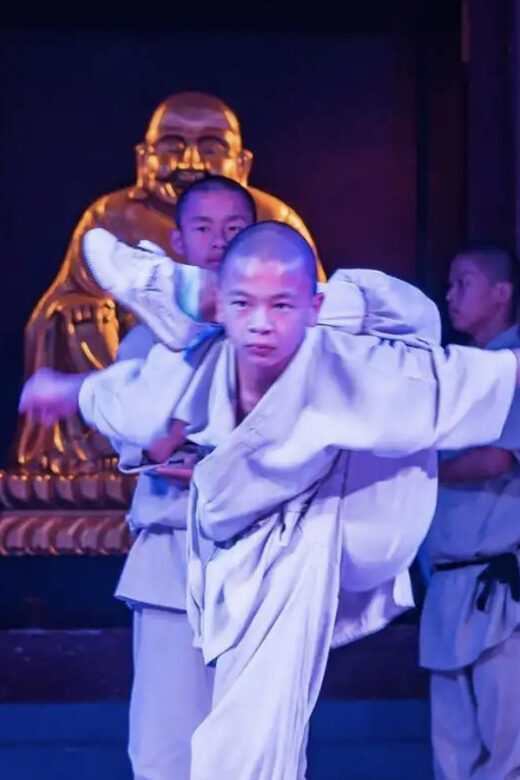 Beijing: Shaolin Temple Day Tour by Round Trip Bullet Train - Time for Reflection and Return