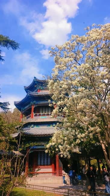 Beijing: Summer Palace Highlight Walking Tour - Final Moments: East Gate and Scenic Photos