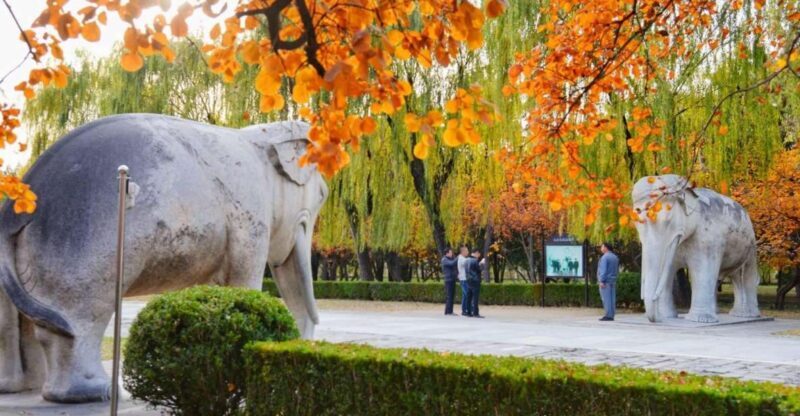 Beijing: Summer Palace Sacred Road & Ming Tombs Private Tour - A Well-Organized Itinerary with Cultural Depth