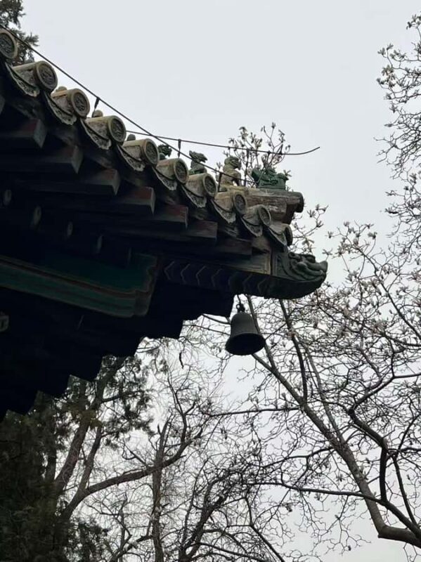 Beijing: Tanzhe Temple Blessing Tour with Guide - A detailed look at the Tanzhe Temple Blessing Tour