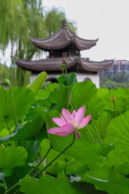 Beijing: Taoranting Park Entry Ticket - Key Points