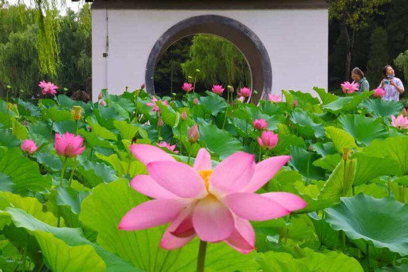 Beijing: Taoranting Park Entry Ticket - The Sum Up: Why This Tour Offers Real Value