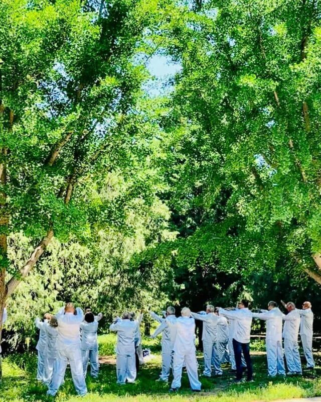 Beijing: Temple of Heaven Tour with Tai Chi and Breakfast - Why the Guided Tour Matters