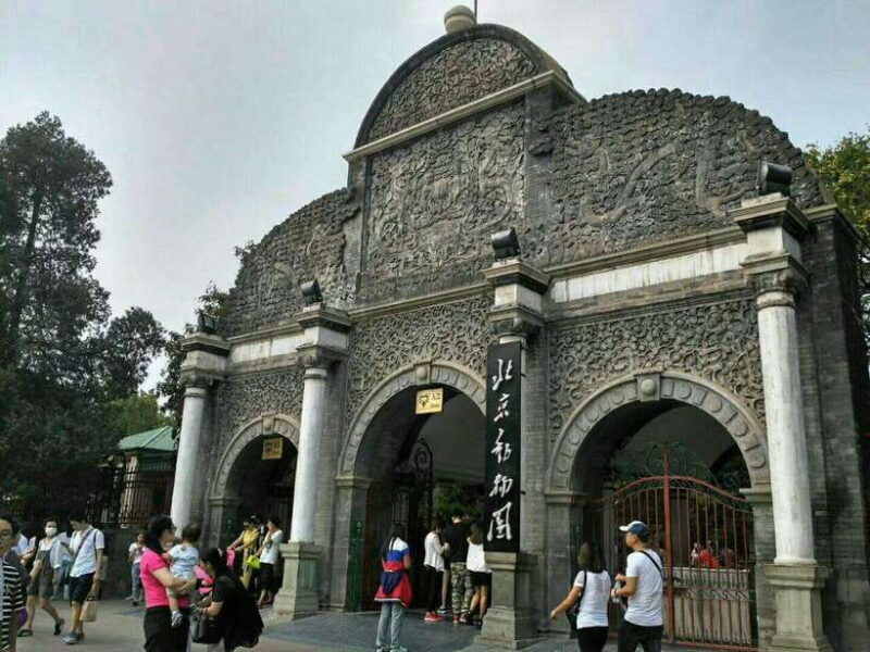 Beijing: The Beijing Zoo Entry Ticket with Pandas - Authentic Experiences Based on Reviews