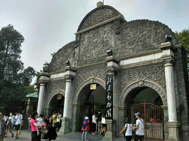 Beijing: The Beijing Zoo Entry Ticket with Pandas - The Sum Up